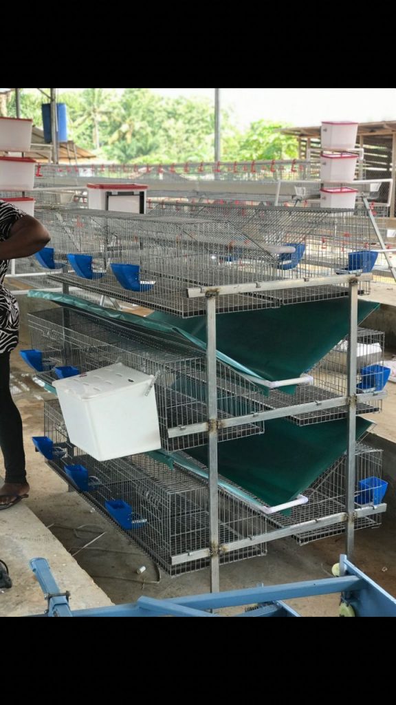 LAYERS BATTERY CAGE SYSTEM BY STANLEY FARM – ACOWAS