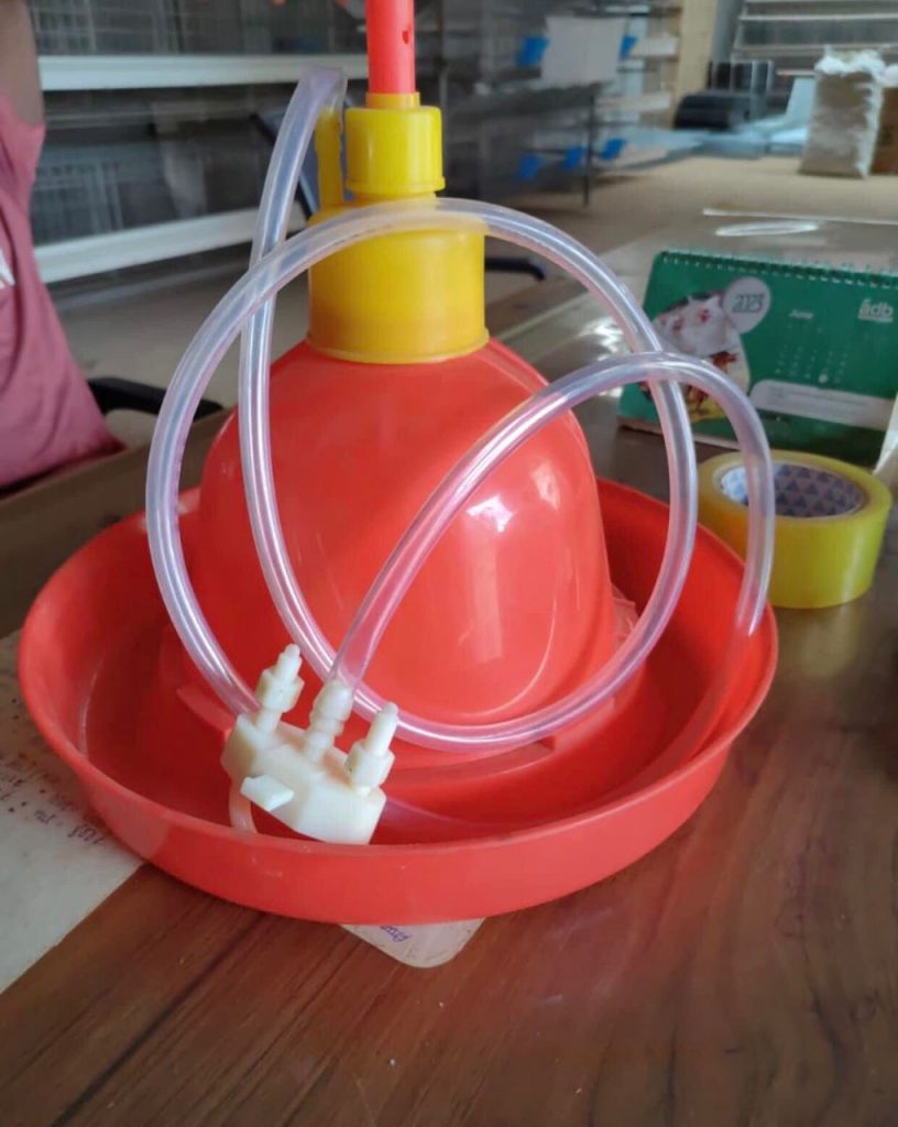 AUTOMATIC DRINKER for poultry – ACOWAS