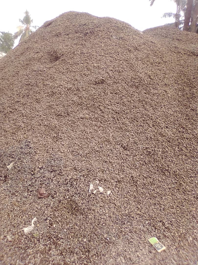 PALM KERNEL SHELL BY C- KABAR GLOBAL CONCEPT – ACOWAS